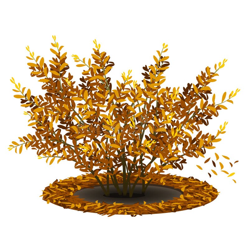 Bush with Yellow Leaves and Shadow Stock Vector - Illustration of ...