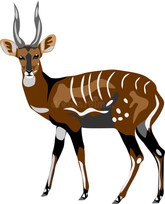 Bushbuck Vector Illustration Stock Vector - Illustration of colour ...