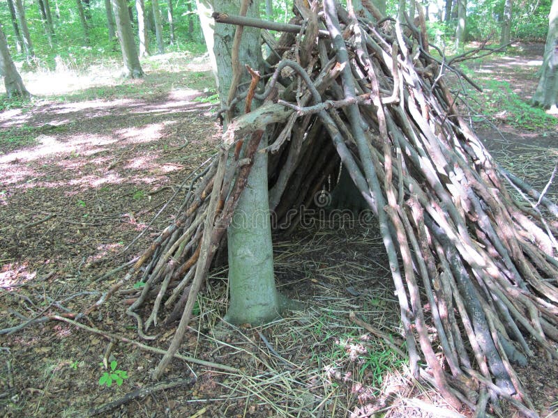Bushcraft Shelter from Branches in Forest Stock Photo - Image of ...