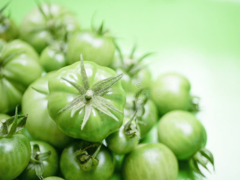 Lime Green Table Setting stock photo. Image of fancy, setting - 4011258