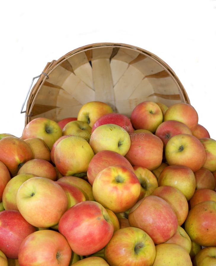 Fuji Apples stock photo. Image of healthy, ripe, copy - 10990430