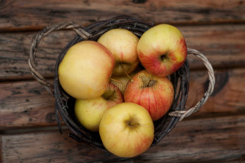 A Rustic Bushel of Apples on Display in Ohio - FRUIT Stock Photo ...