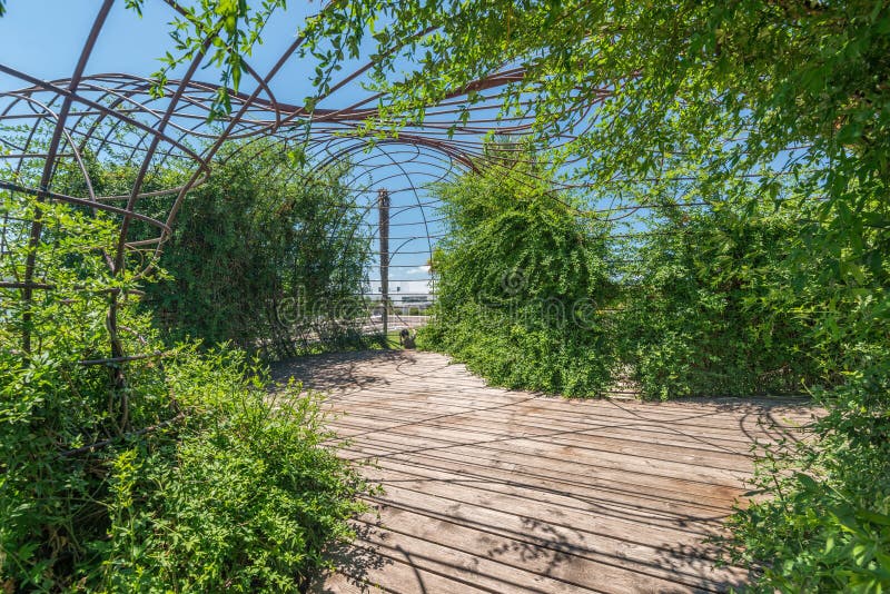 Bushes in a Cage with Wooden Flooring Stock Image - Image of sunlight ...