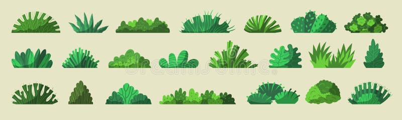 Bushes. Different Types of Green Bushes Recent Vector Decorative Floral ...