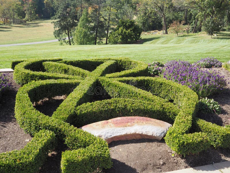 The bushes make a pattern. stock photo. Image of gardener - 199124404