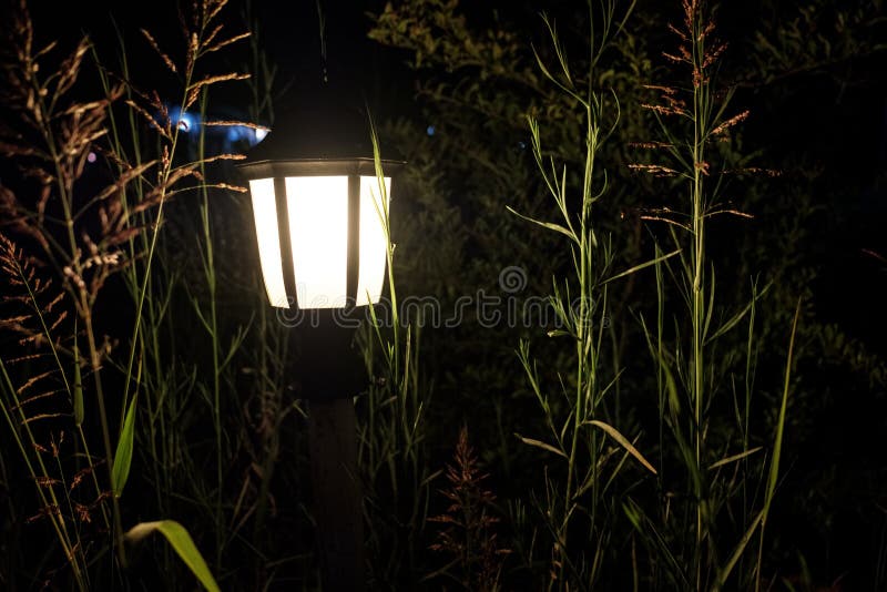In the Bushes at Night the Lantern Glows White Light Stock Photo ...