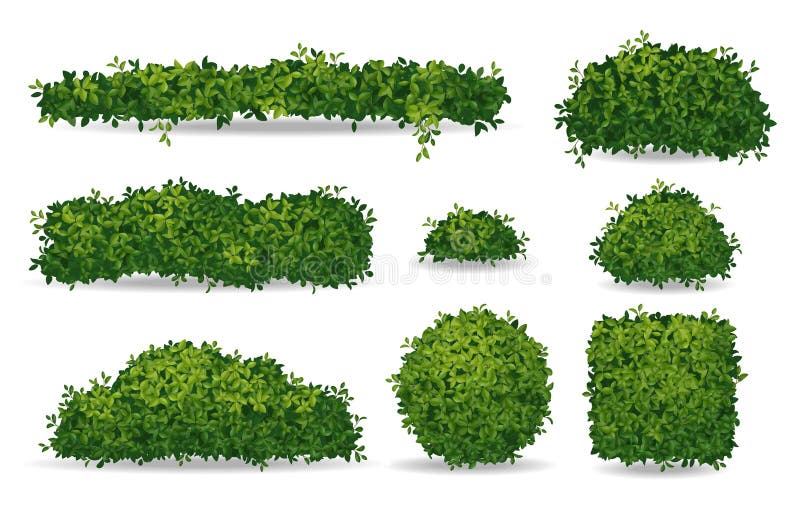 Bushes Realistic Set stock vector. Illustration of object - 288189607