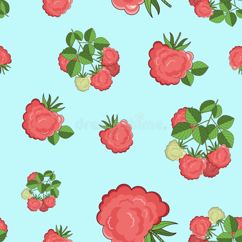 Bushes, Sprouts, Berries and Leaves of Forest and Garden Raspberry ...