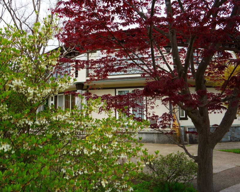 Bushes and Trees Around the House Stock Photo - Image of cultivated ...