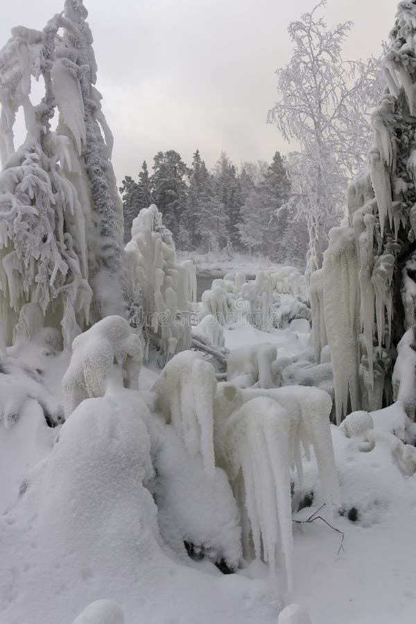 A Passage of Icicles on Bushes and Trees Stock Photo - Image of ...