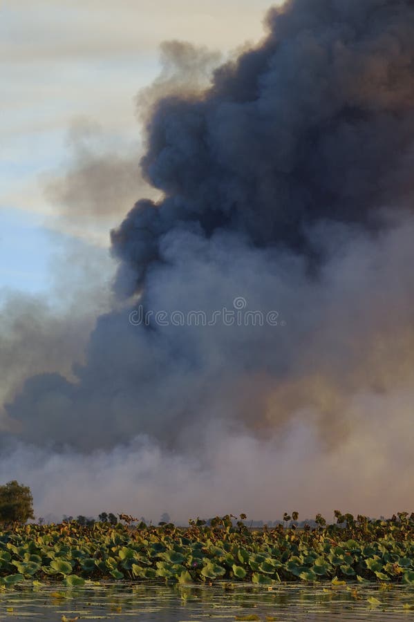 Bushfire stock photo. Image of territory, trees, fire - 11169850