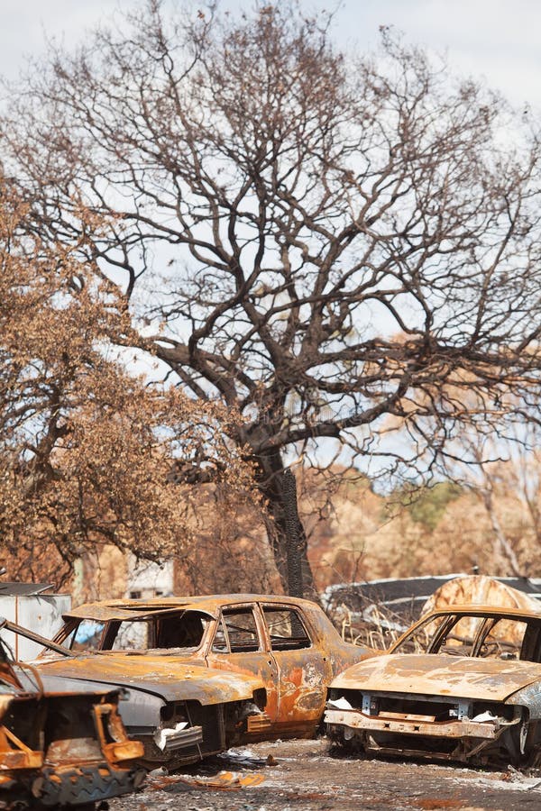 Bushfire Aftermath stock image. Image of news, australia - 63234647