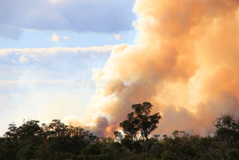 Bushfire stock photo. Image of smoke, landscape, clouds - 65099656