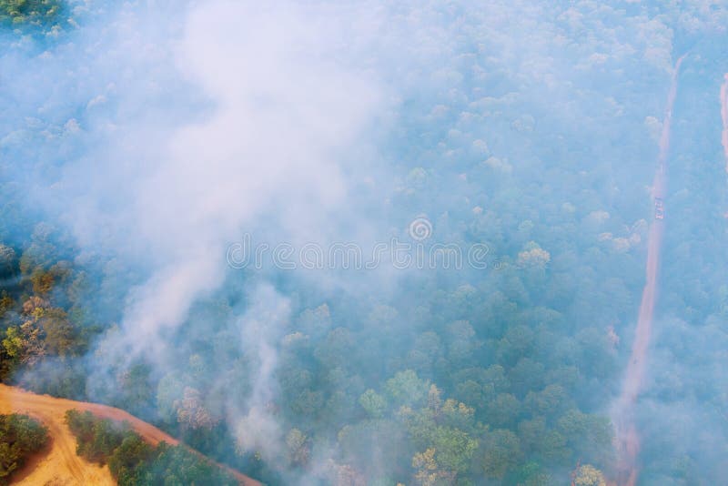 A Bushfire Burning Fire in the Forest, Burnt Trees, Smoke Stock Photo ...