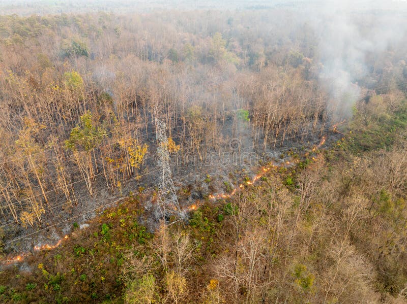 Bushfire is Burning Near Power Transmission Tower Line Stock Image ...