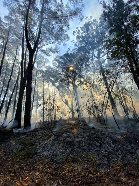 Bushfire Mitigation Burn stock photo. Image of back - 232438450
