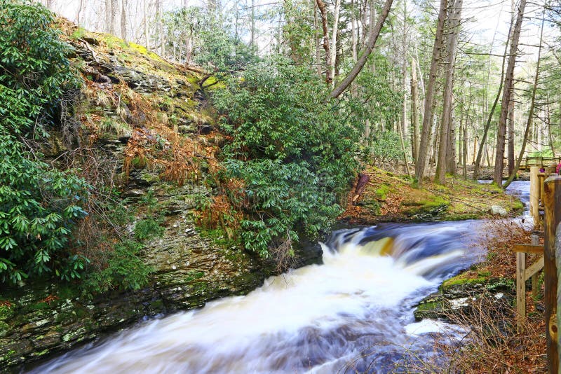 Bushkill Falls stock photo. Image of located, landscape - 251447052