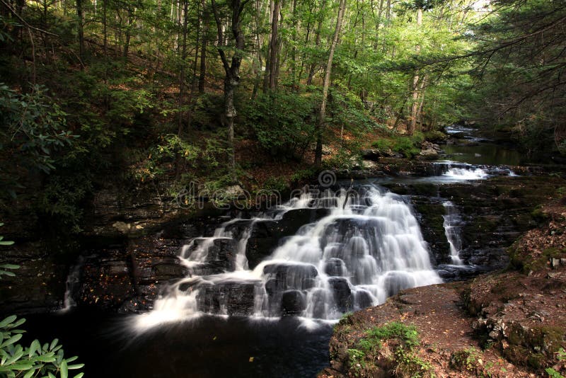 Bushkill Falls, Pennsylvania, USA Stock Image - Image of foliage, green ...