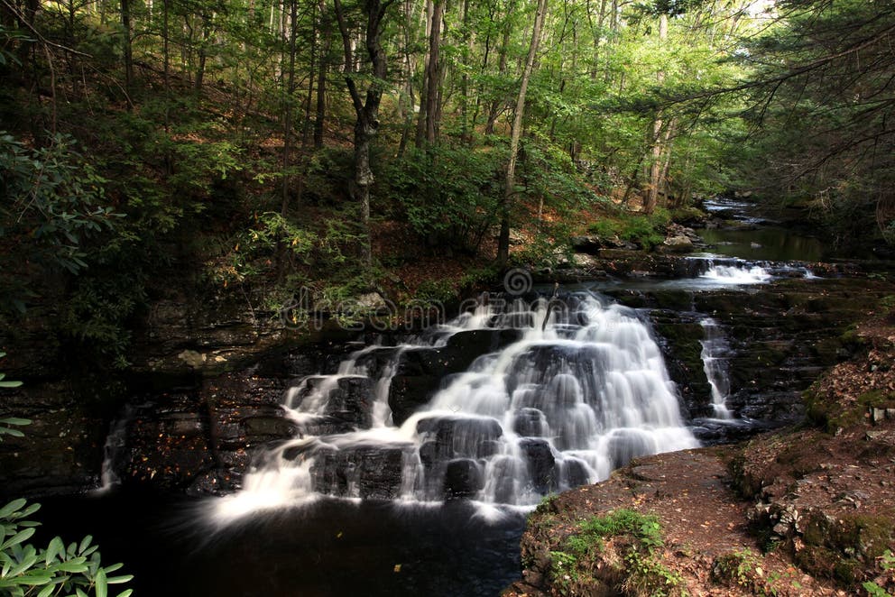 Bushkill Falls, Pennsylvania, USA Stock Image - Image of foliage, green ...