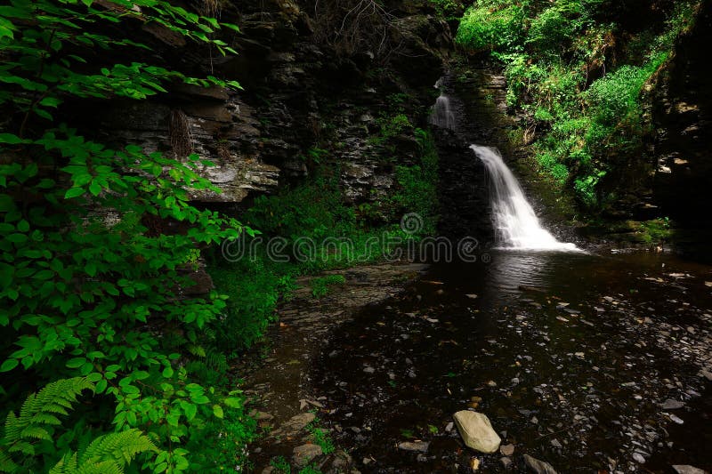 Bushkill Waterfalls Forest Lehman Township Stock Photos - Free ...