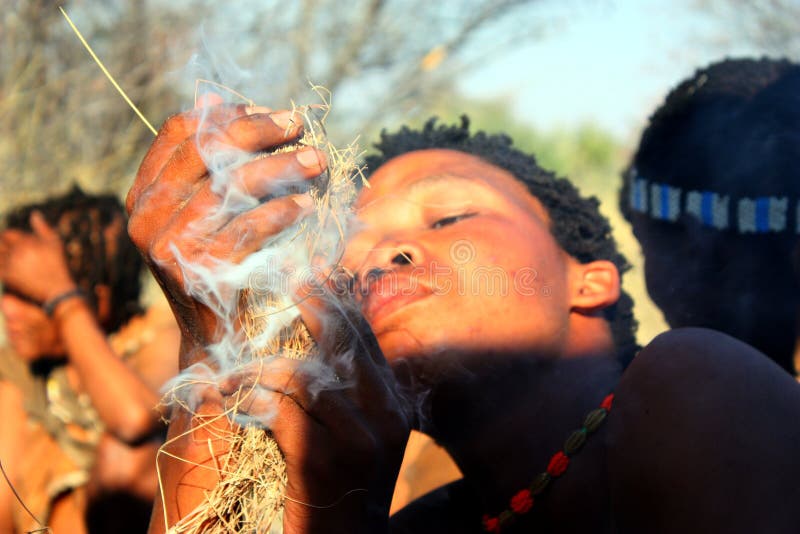 Bushman editorial image. Image of elderly, clean, portrait - 26445280