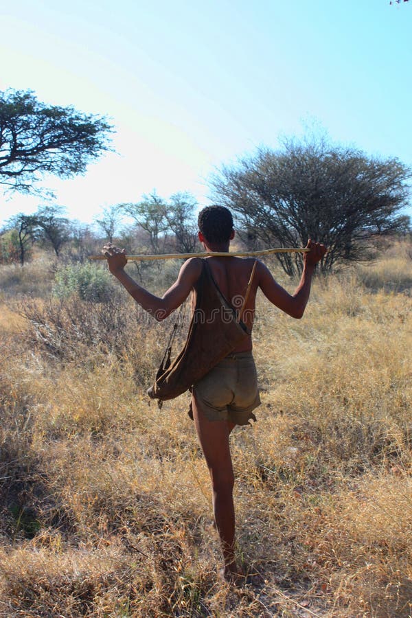 Bushman editorial stock photo. Image of desert, person - 26445033