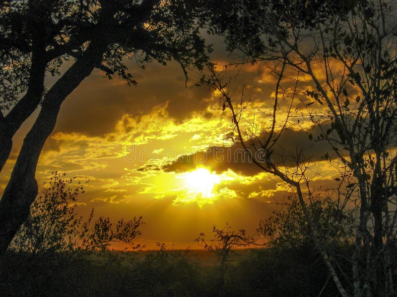Sunset in the Bushveld #2 stock image. Image of golden - 4606025