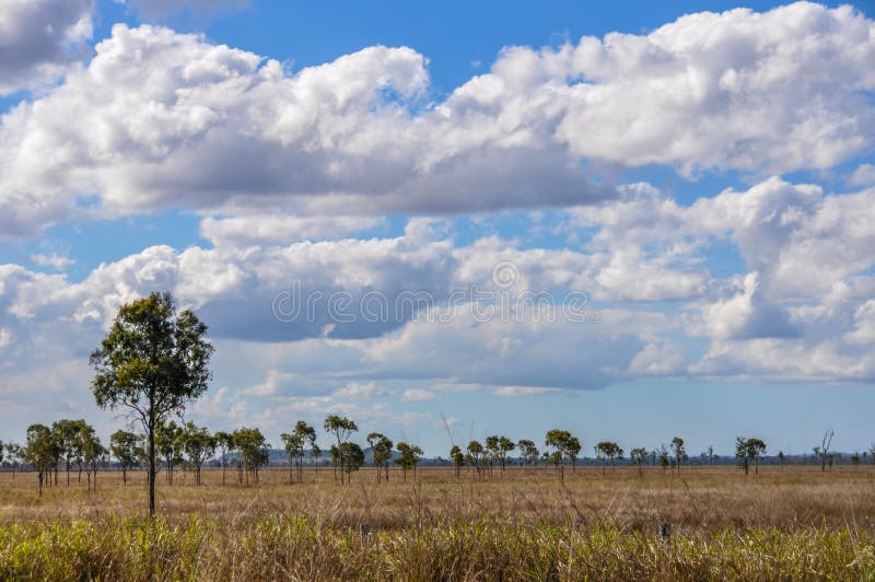 Bushy Landscape in the Outback, Queensland, Australia Stock Photo ...