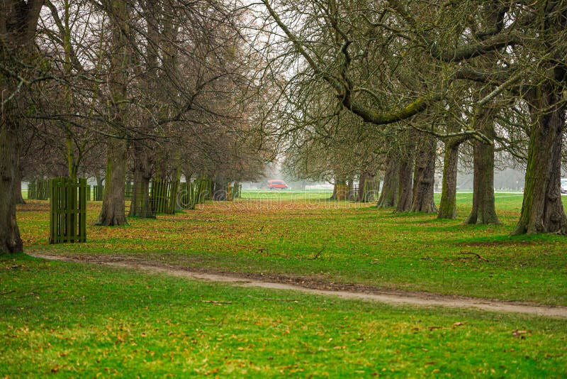Bushy park kingston stock photo. Image of kingston, trees - 172910172