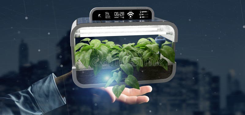 Businesmann Holding a Digital Vegetal Plant Connected Stock Photo ...