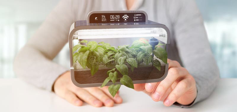Businesmann Holding a Digital Vegetal Plant Connected Stock Photo ...