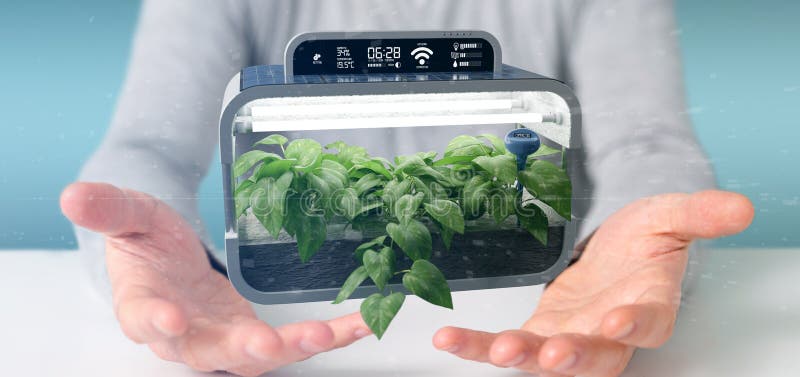 Businesmann Holding a Digital Vegetal Plant Connected Stock Photo ...