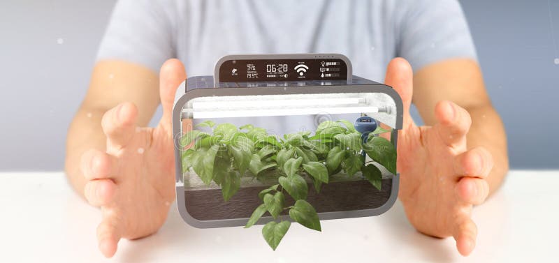 Businesmann Holding A Digital Vegetal Plant Connected Stock Image ...