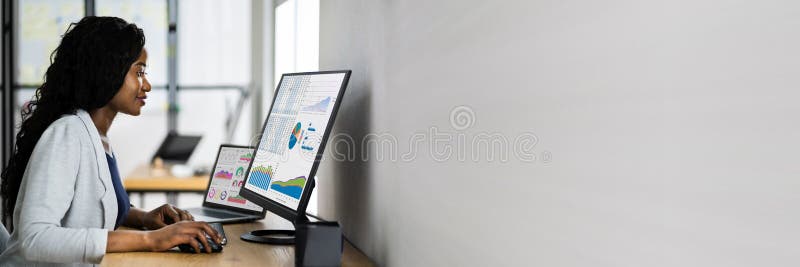Business Analyst Woman stock photo. Image of graph, chart - 249216774