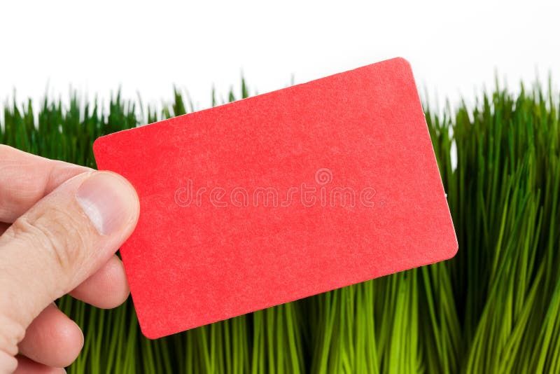 Business Card and Green Grass Stock Photo - Image of advertisement ...