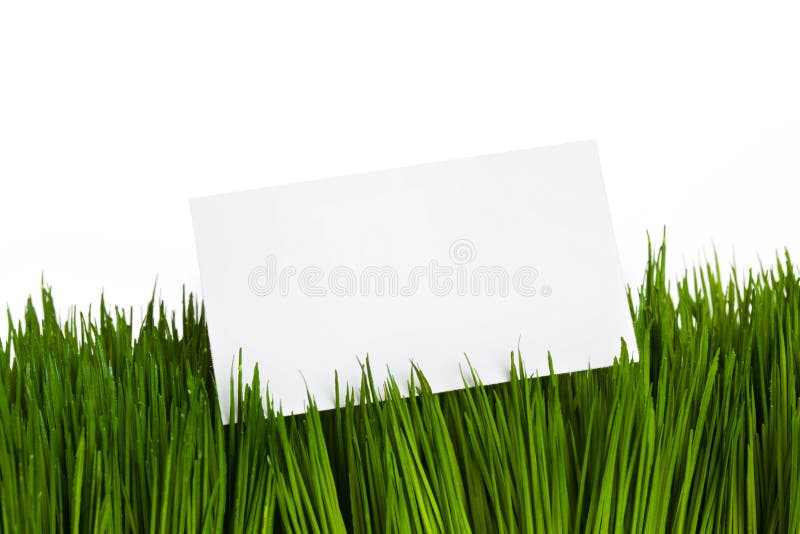 Business Card and Green Grass Stock Photo - Image of copy, card: 78882830
