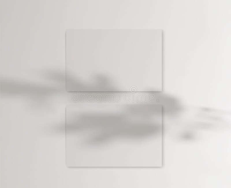 Business Card Mockup with Shadow Overlay Effect. Vector Leaves Shadow ...