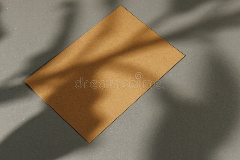 Foliage Shadow on Paper Background with Business Card Stock Image ...