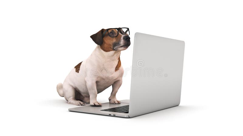 Business Concept Pet Dog Using Laptop Computer. Stock Illustration ...