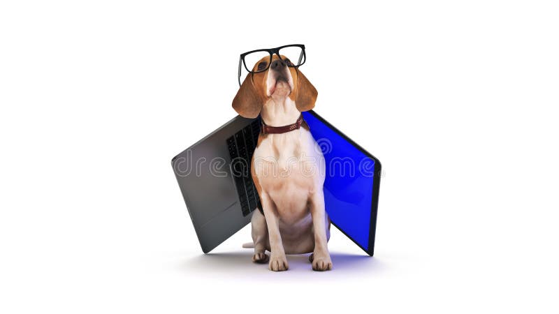 Business Concept Pet Dog Using Laptop Computer. Stock Illustration ...