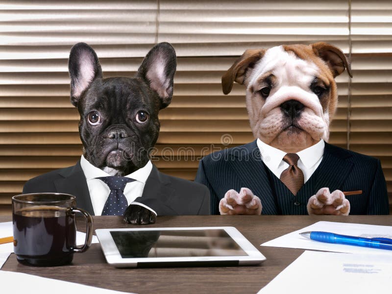 Business Dogs in Suits at Work Behind the Office Table. the Concept of ...