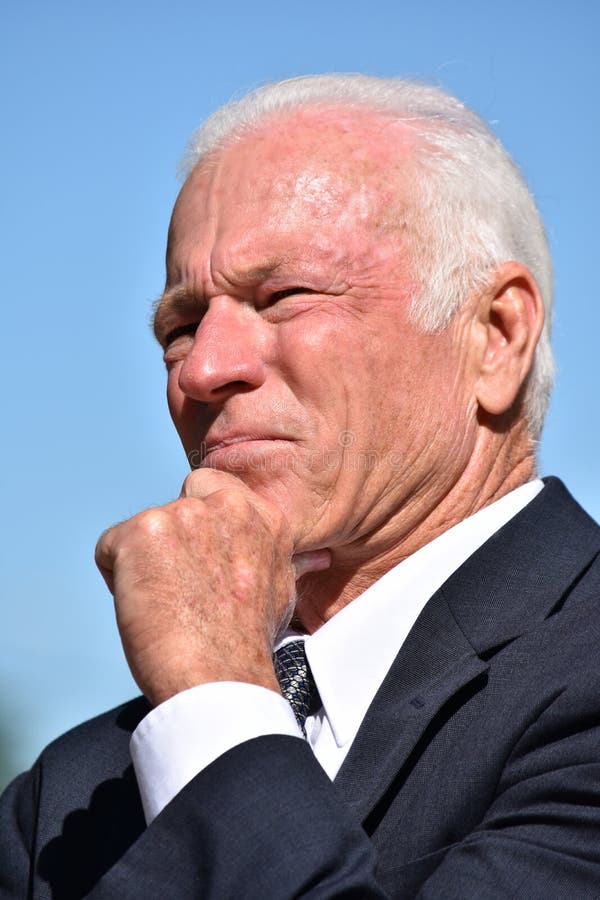 Business Executive Thinking Isolated Stock Image - Image of profession ...