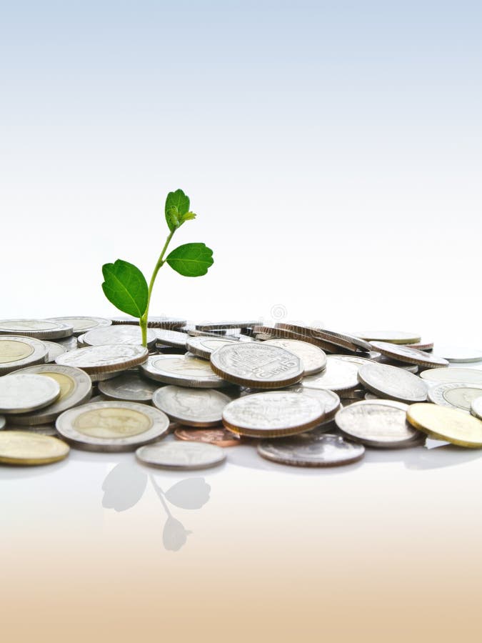 Business growing stock image. Image of concept, coin - 20921877