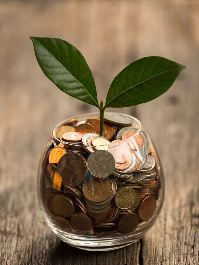 Business Growth Up Concept. Financial Planning, Money Growth Concept ...