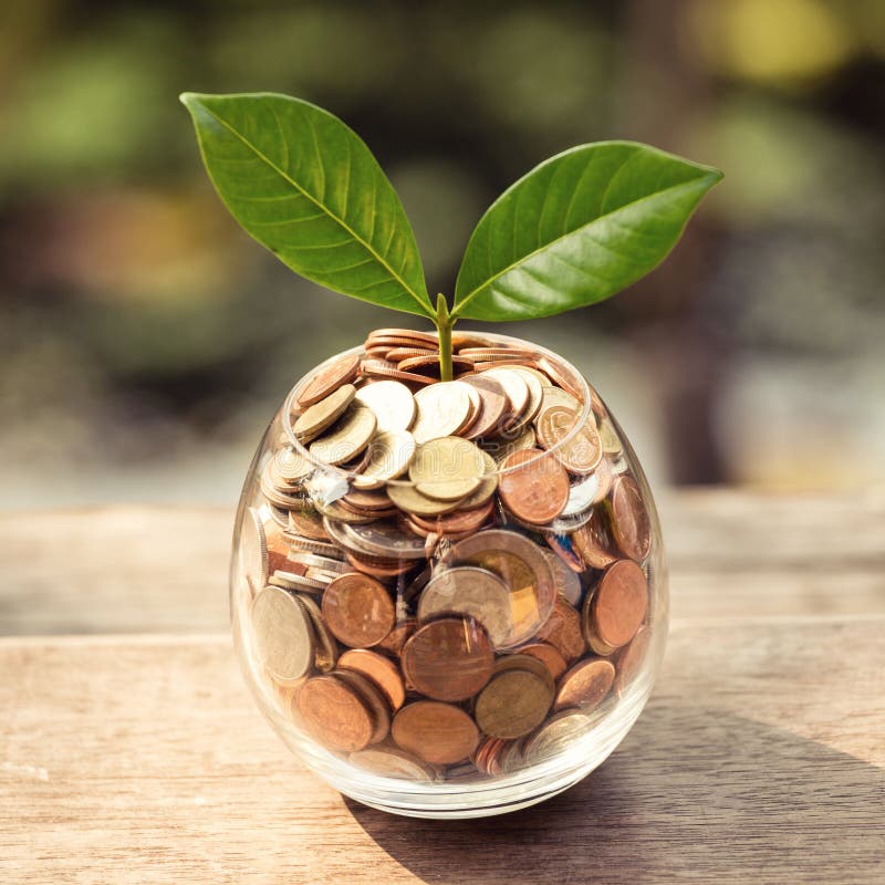 Business Growth Up Concept. Financial Planning, Money Growth Concept ...