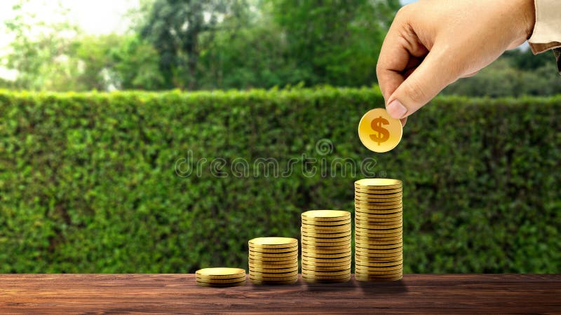 Business Hand Put Golden Dollar Coins into a Stack of Golden Coins ...