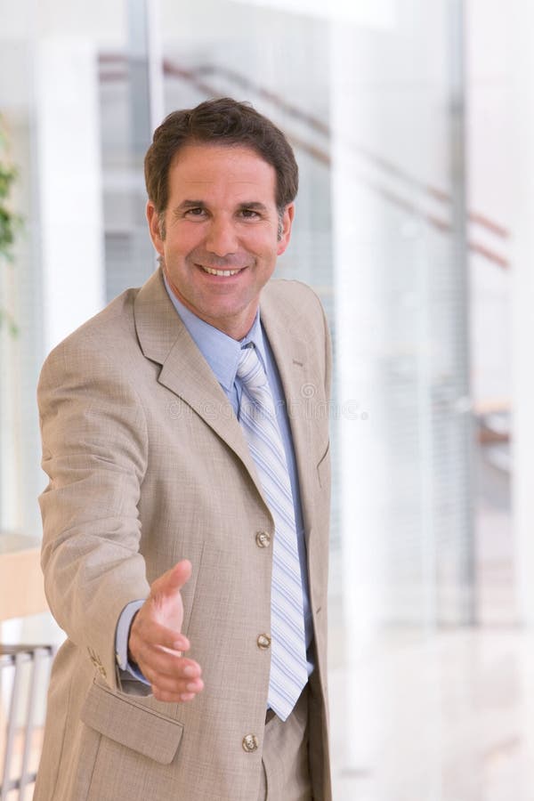 Business handshake stock photo. Image of meeting, friendship - 8695390