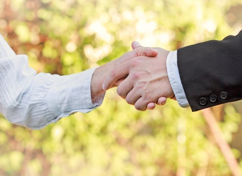 Business Handshake - Successful Business Stock Photo - Image of ...