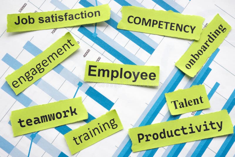 Business Hr Charts with Words about Employee. Stock Image - Image of ...