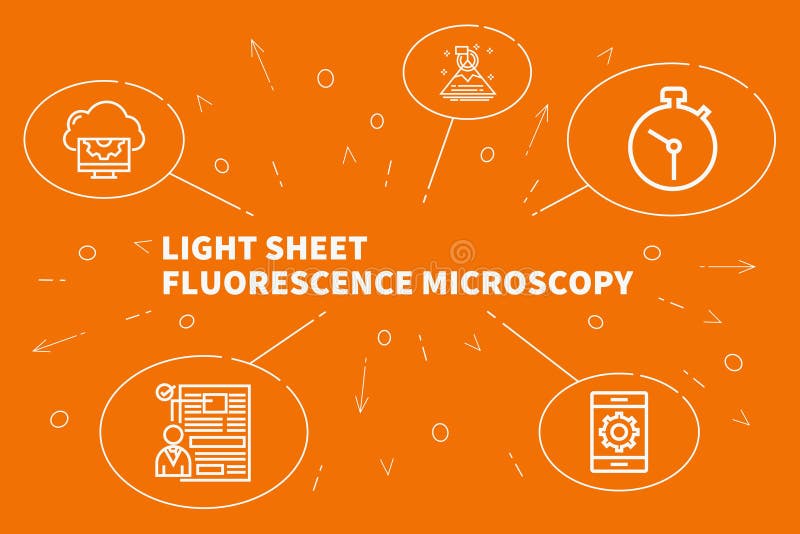 Business Illustration Showing the Concept of Light Sheet Fluorescence ...